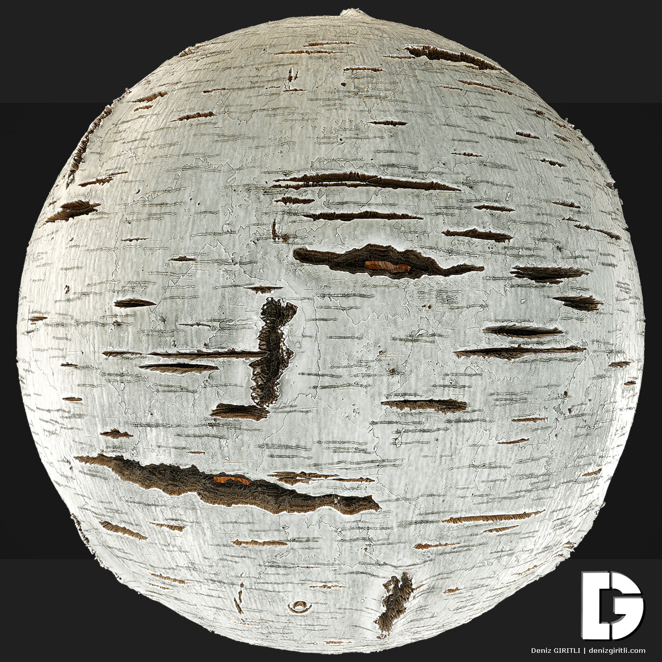 Deniz Giritli - Birch Tree Bark Material - Substance Designer