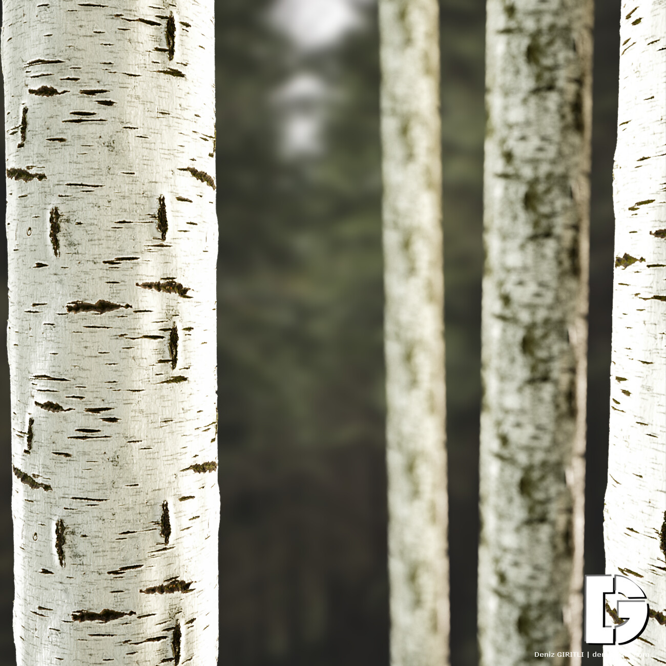 Deniz Giritli - Birch Tree Bark Material - Substance Designer