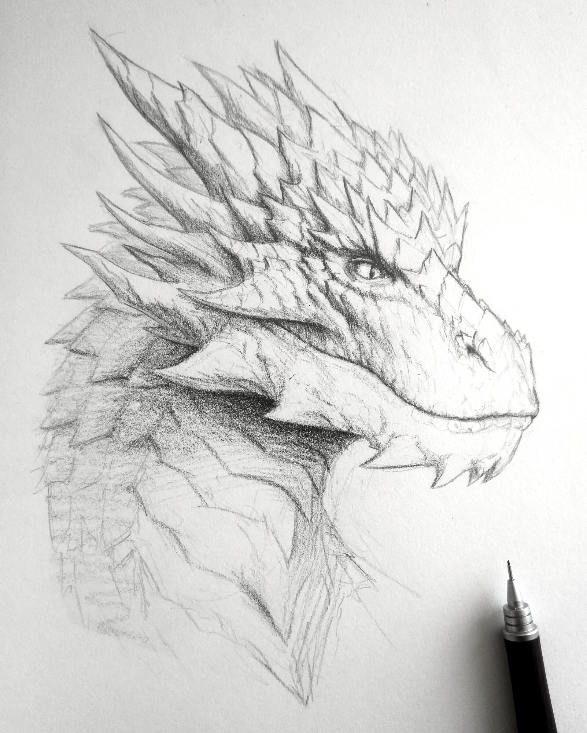 how to draw a dragon in pencil