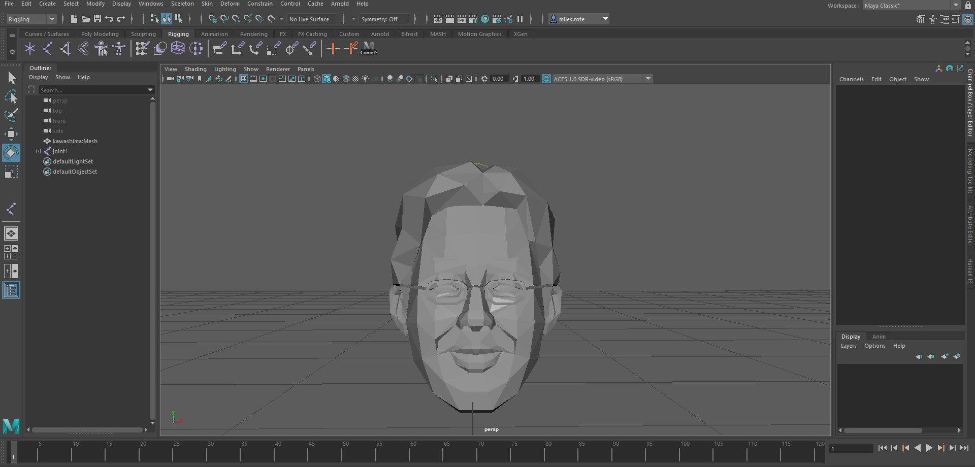 ArtStation - Ryuta Kawashima Rig