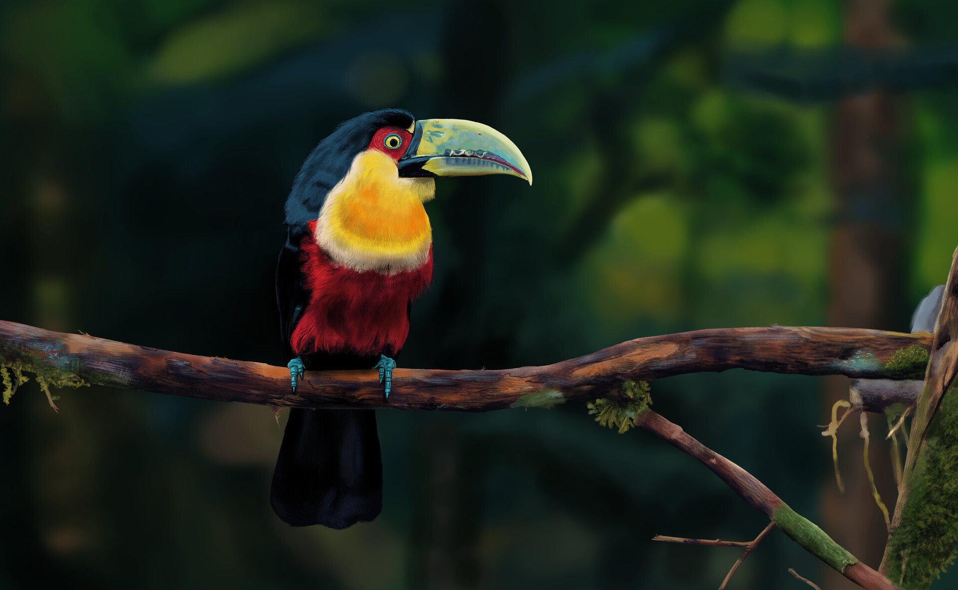 ArtStation - Tucan