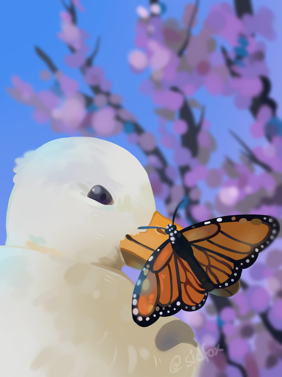 ArtStation - Duck and Butterfly