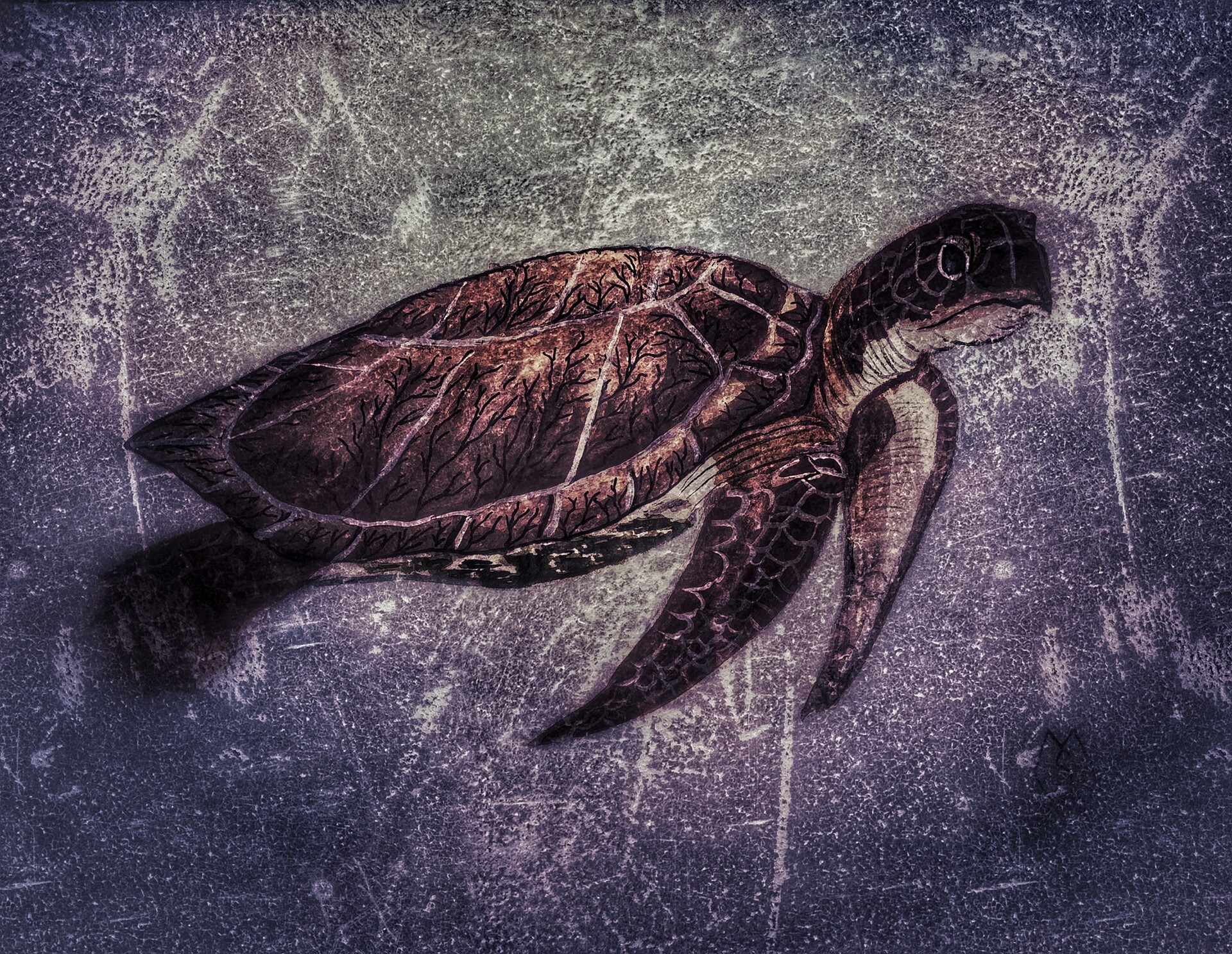 ArtStation - Sea Turtle Grunge