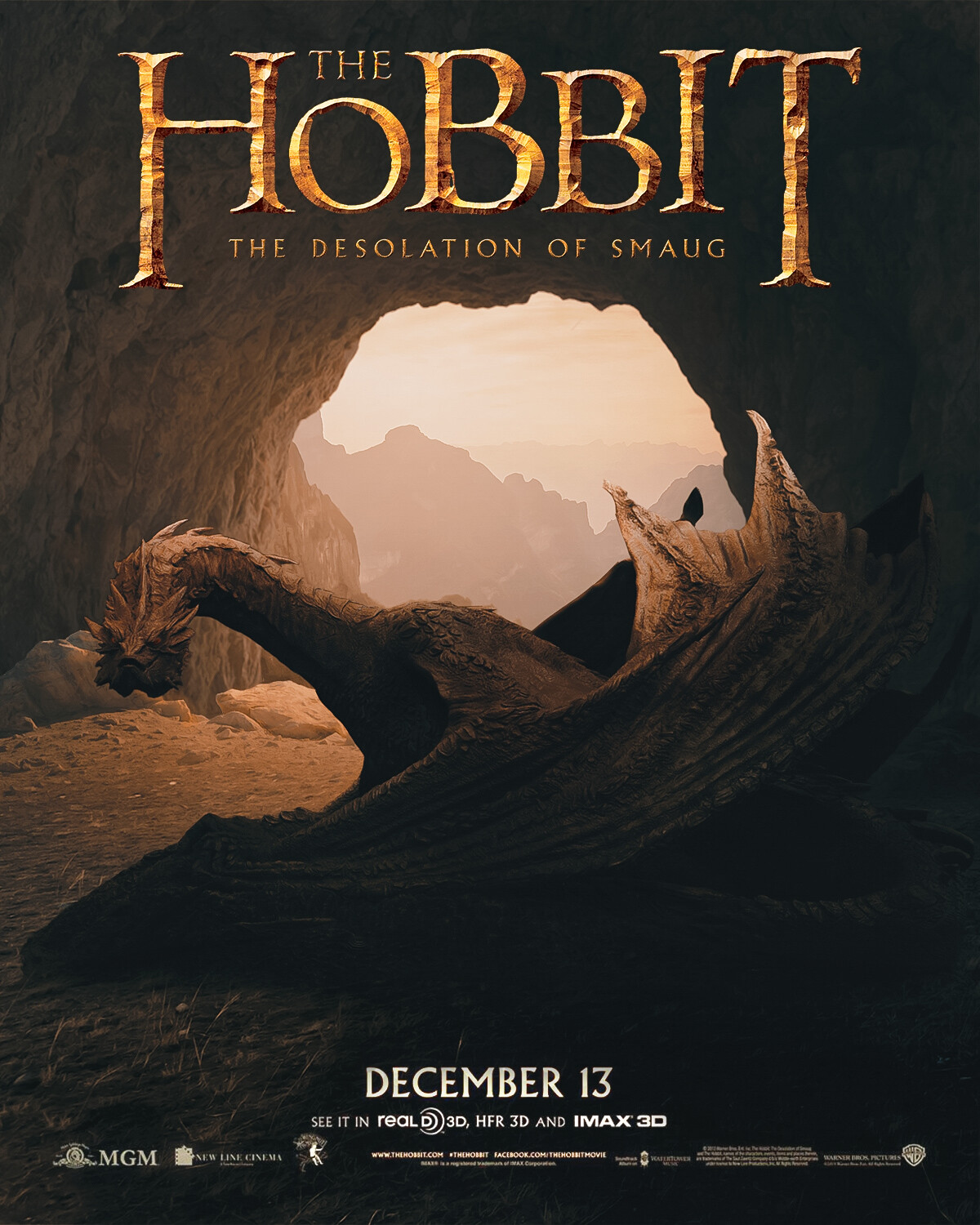Desolation Of Smaug Banner