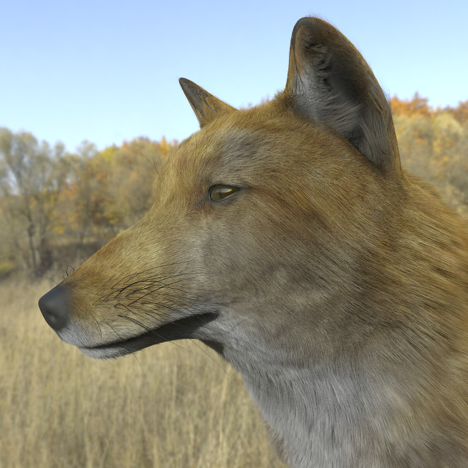 Andreea Grigore - Fox