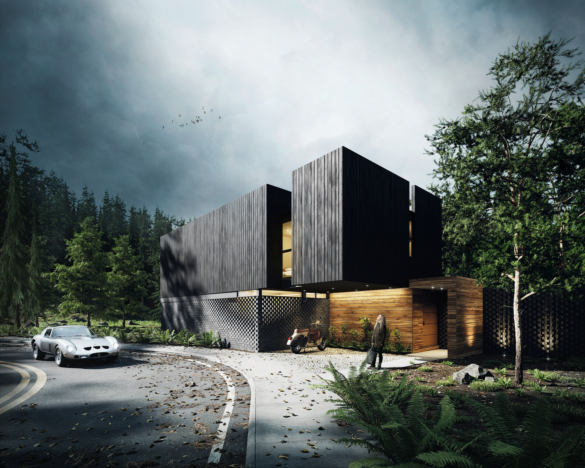 Alejandro Moya - Black Gorrión House