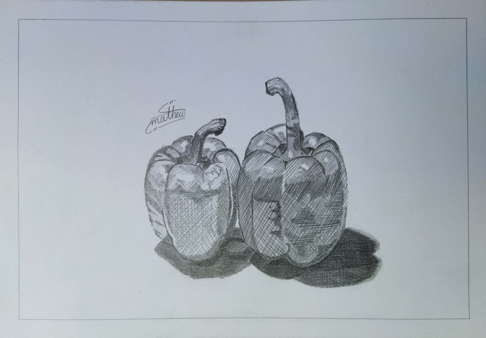 ArtStation - Bell peppers (Shading Technique Application)
