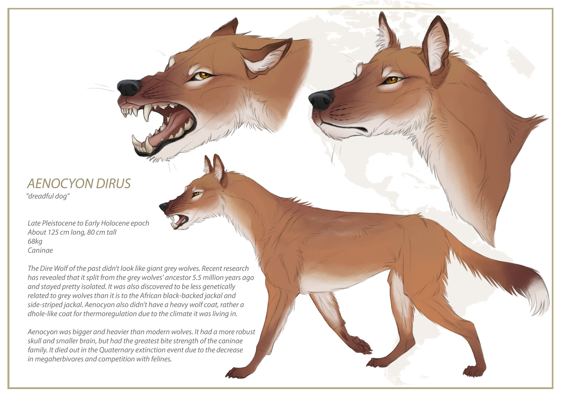 Karina Cooke - Aenocyon Dirus