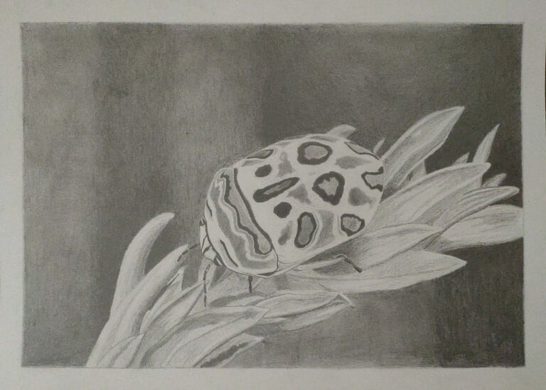 ArtStation - ART APPRECATION 3