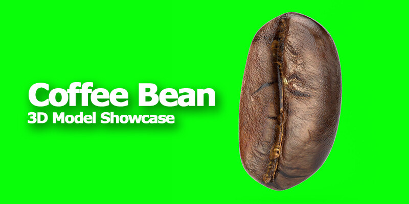 ArtStation - Roasted Coffee Bean | 3D Model Showcase 360 Spin