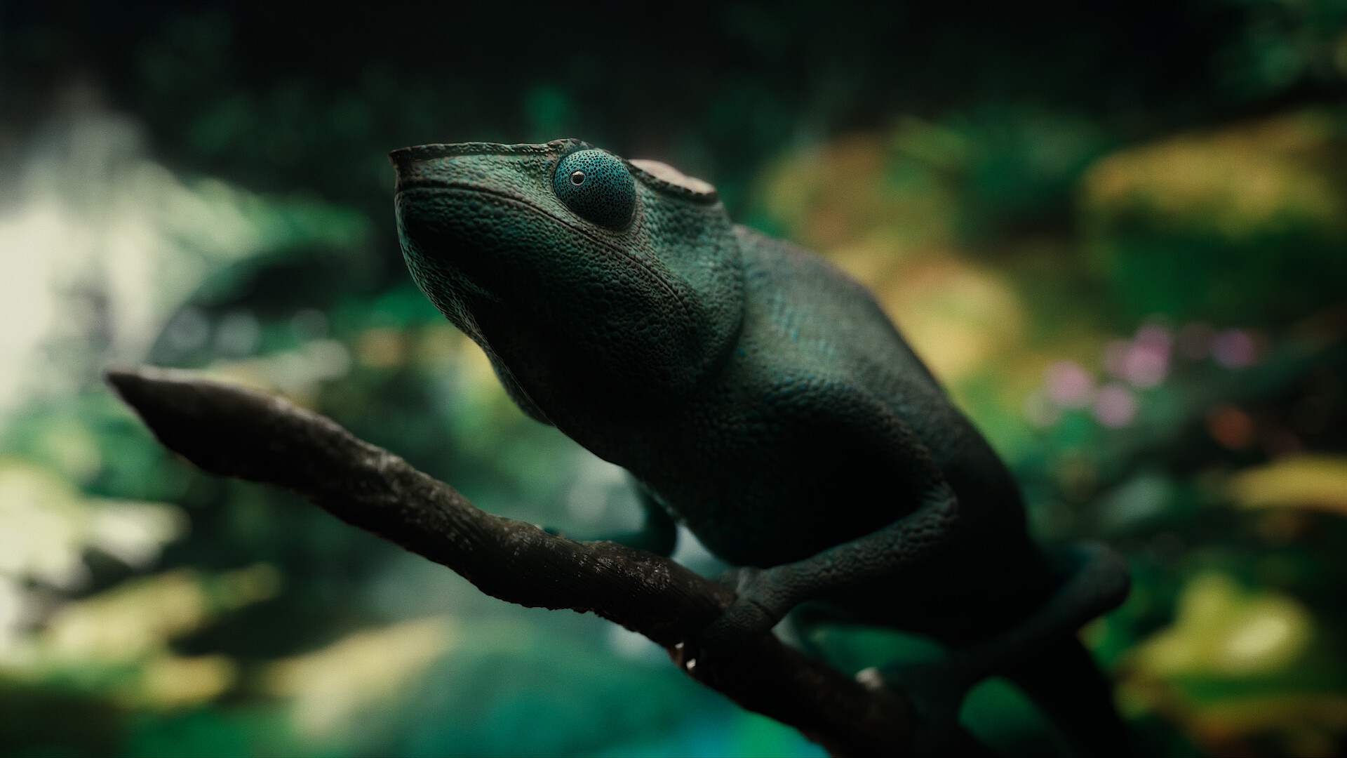 ArtStation - Little Chameleon