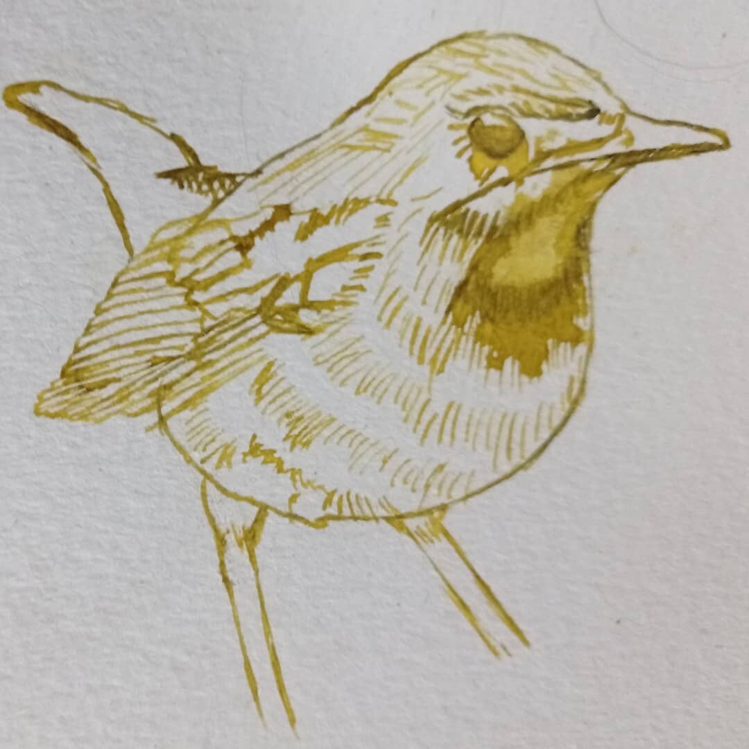 ArtStation - Ink Bird