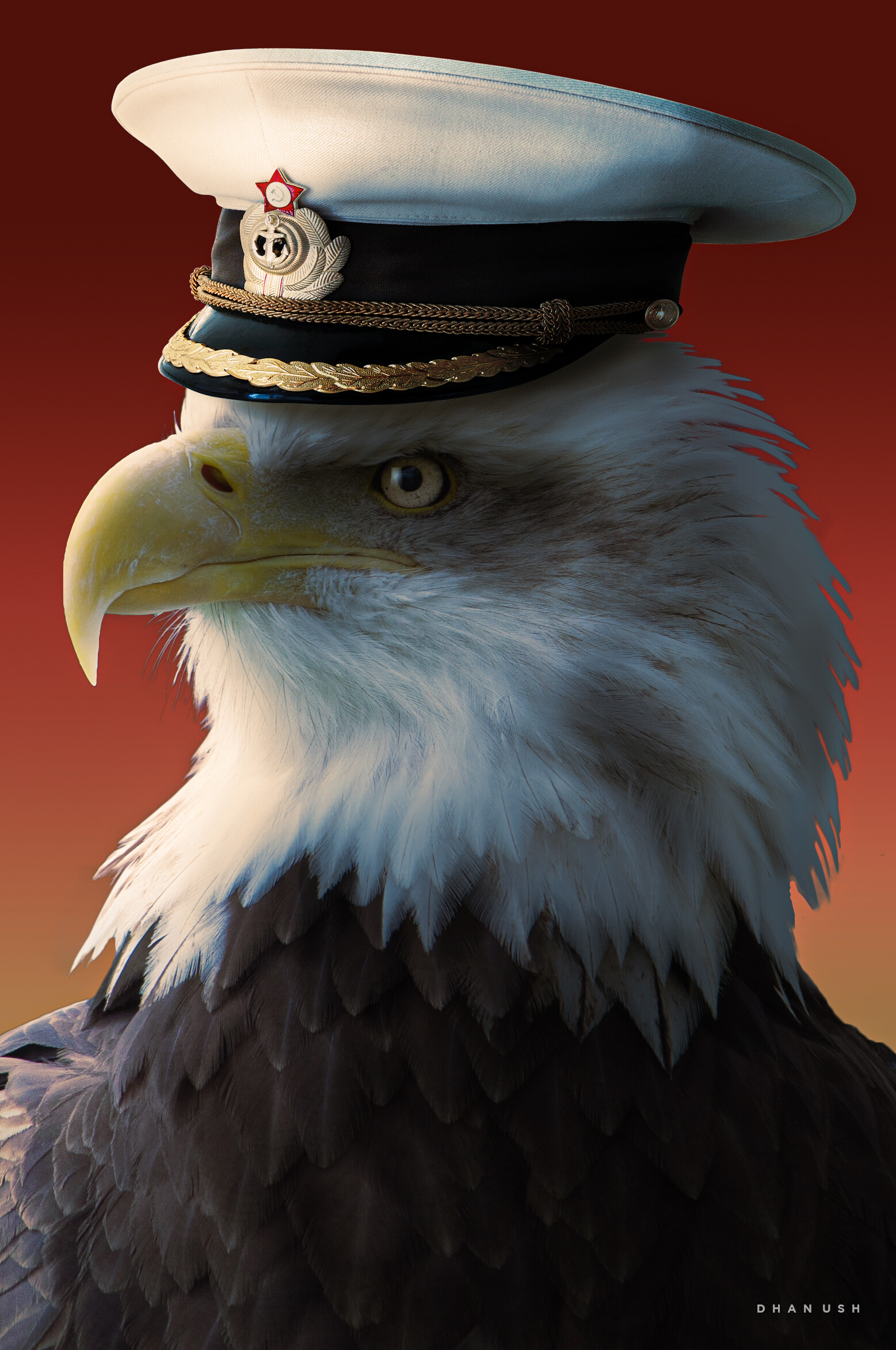 ArtStation - Captain Bald