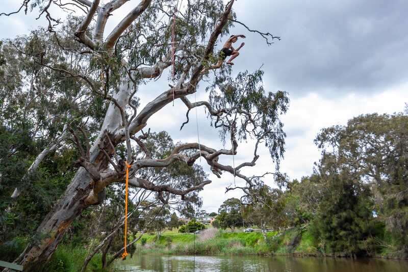 ArtStation - Steve Jacobs