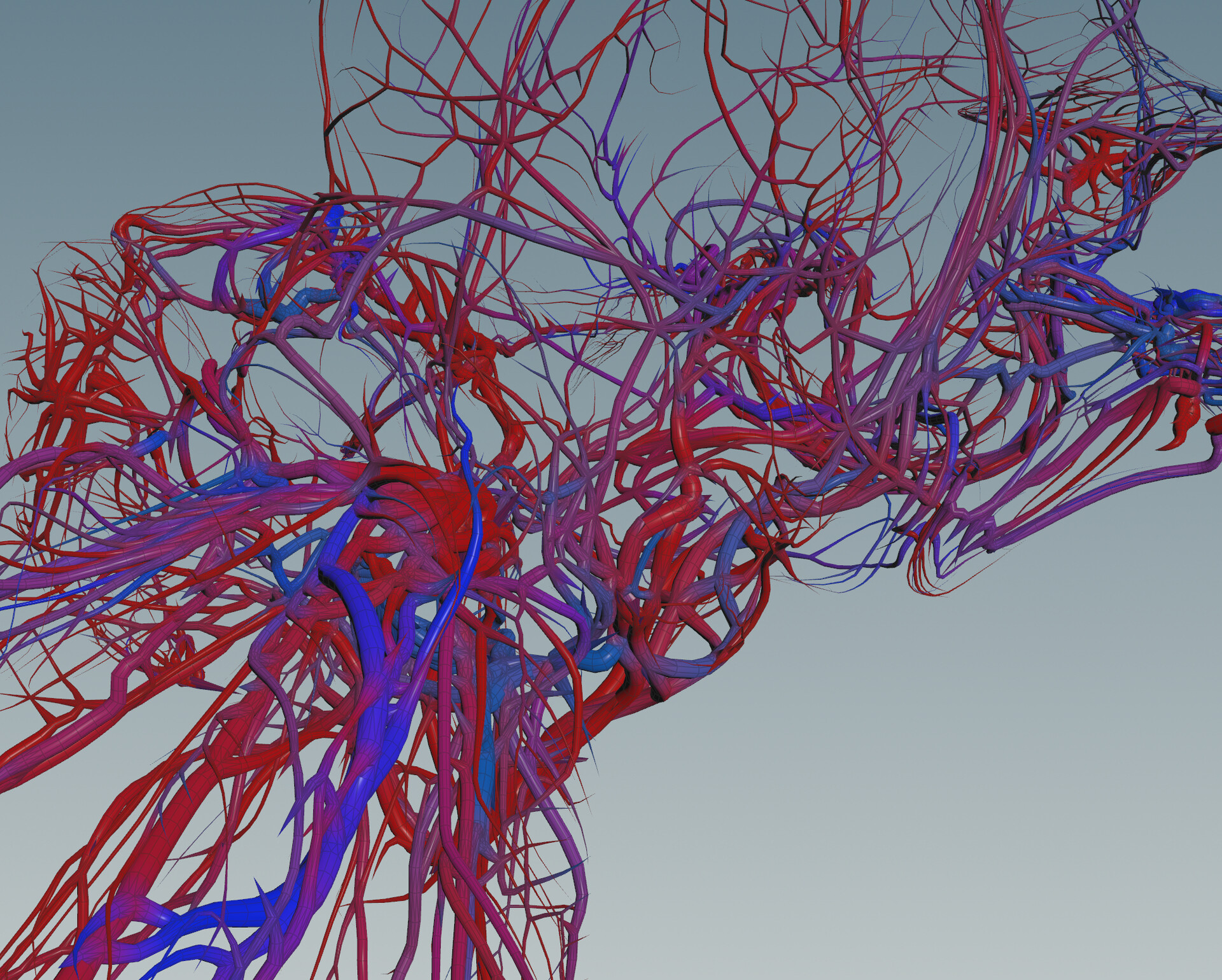 ArtStation - Procedurally Generated Vessels