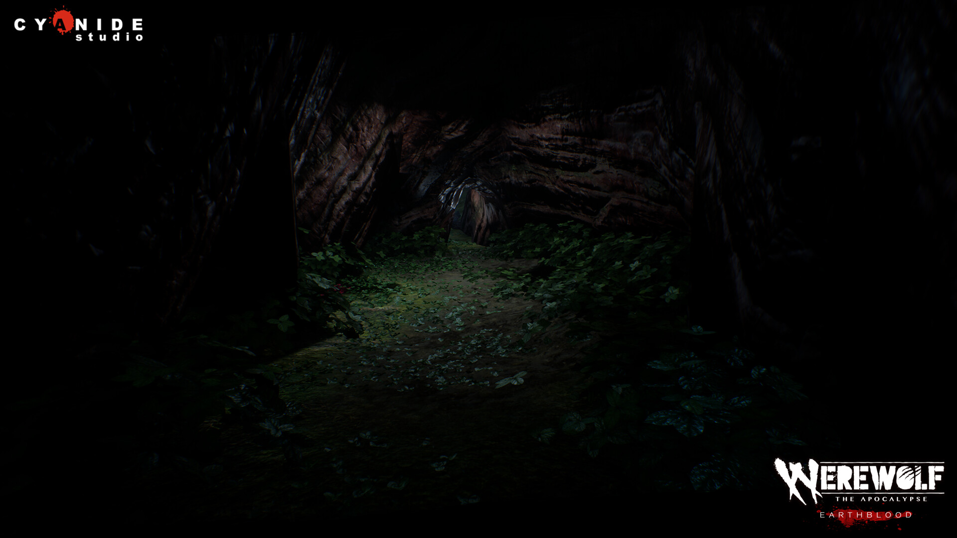 Anaïs Diquet - Werewolf: The Apocalypse - Earthblood - The Forest Caern