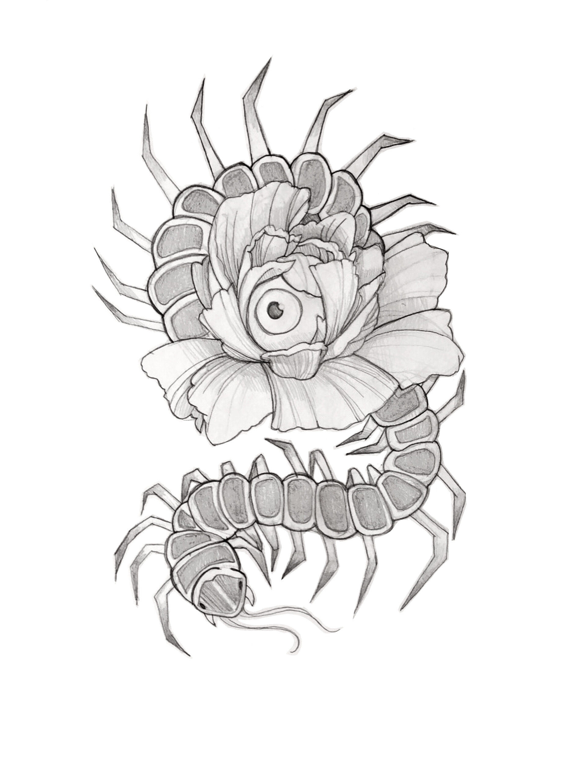 ArtStation - Centipede Floral