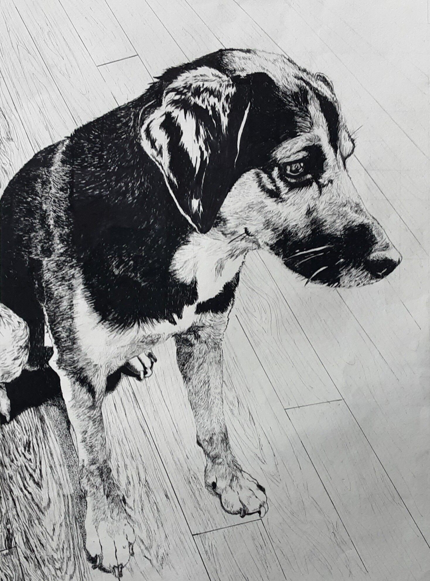 ArtStation - Geta Portrait