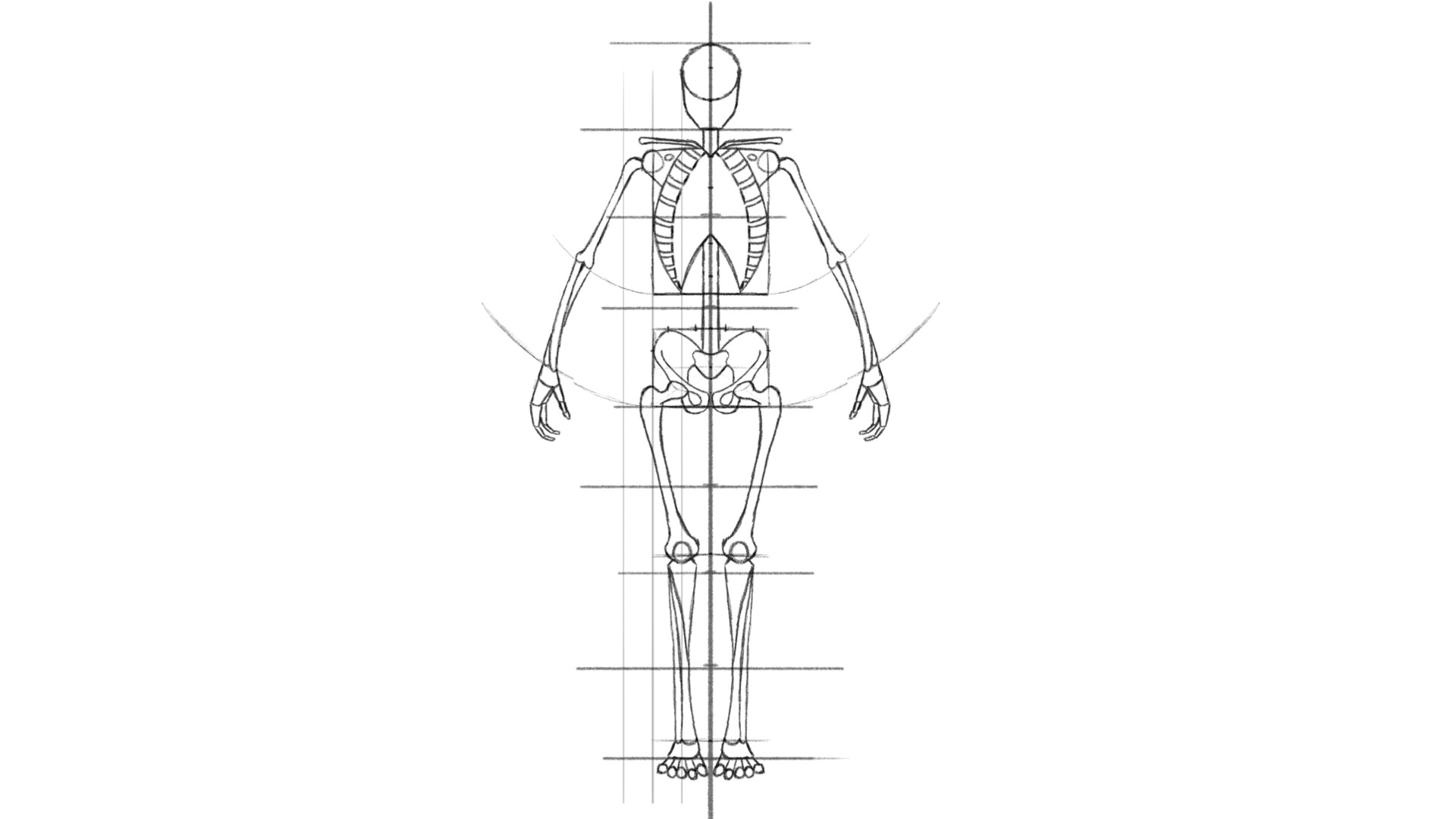 ArtStation - Anatomy Practice