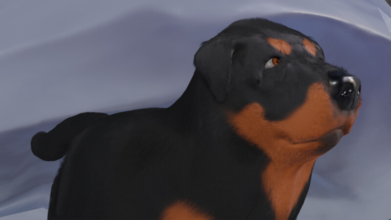 ArtStation - Hedvig Friedrich