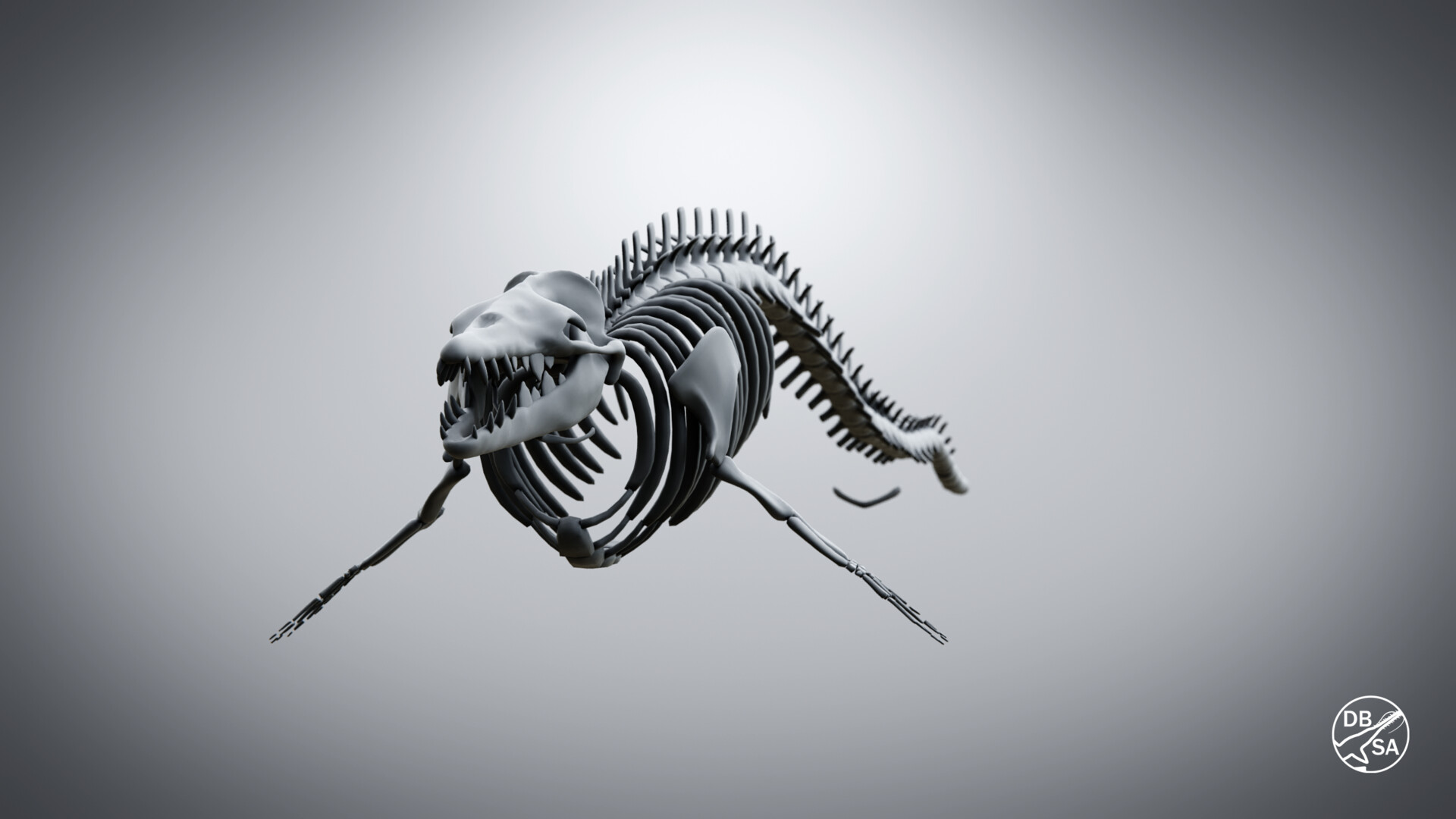 basilosaurus skeleton