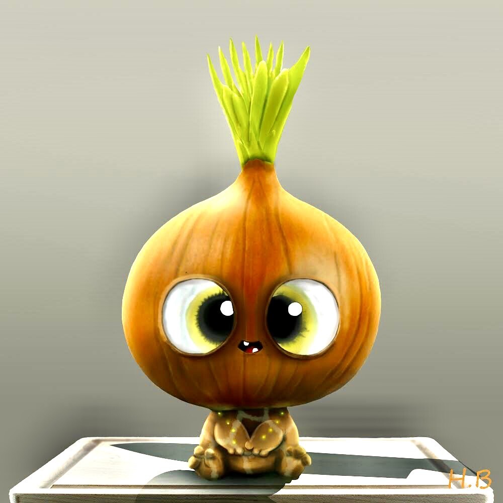 onion concept