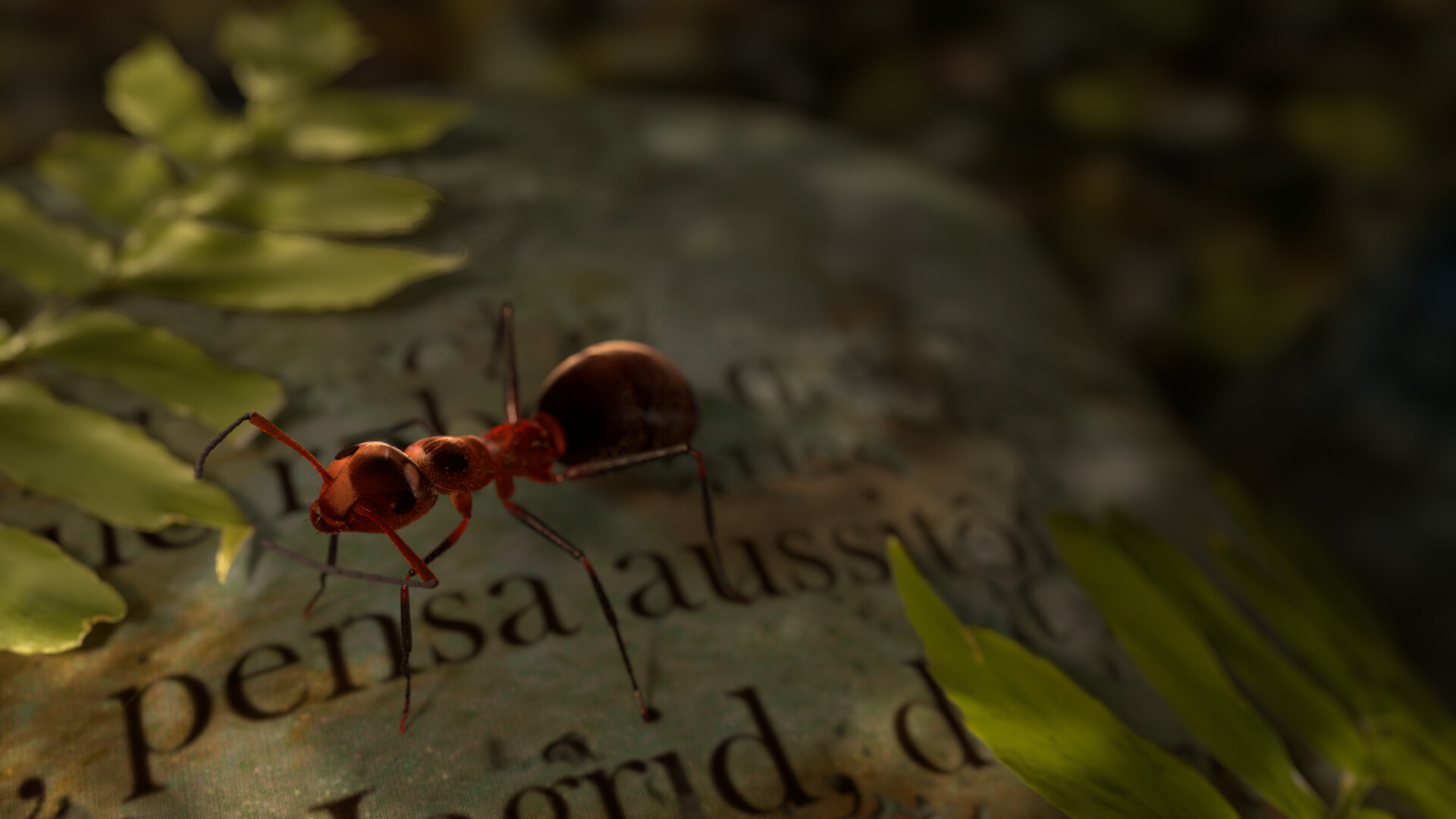 ArtStation - the red ant