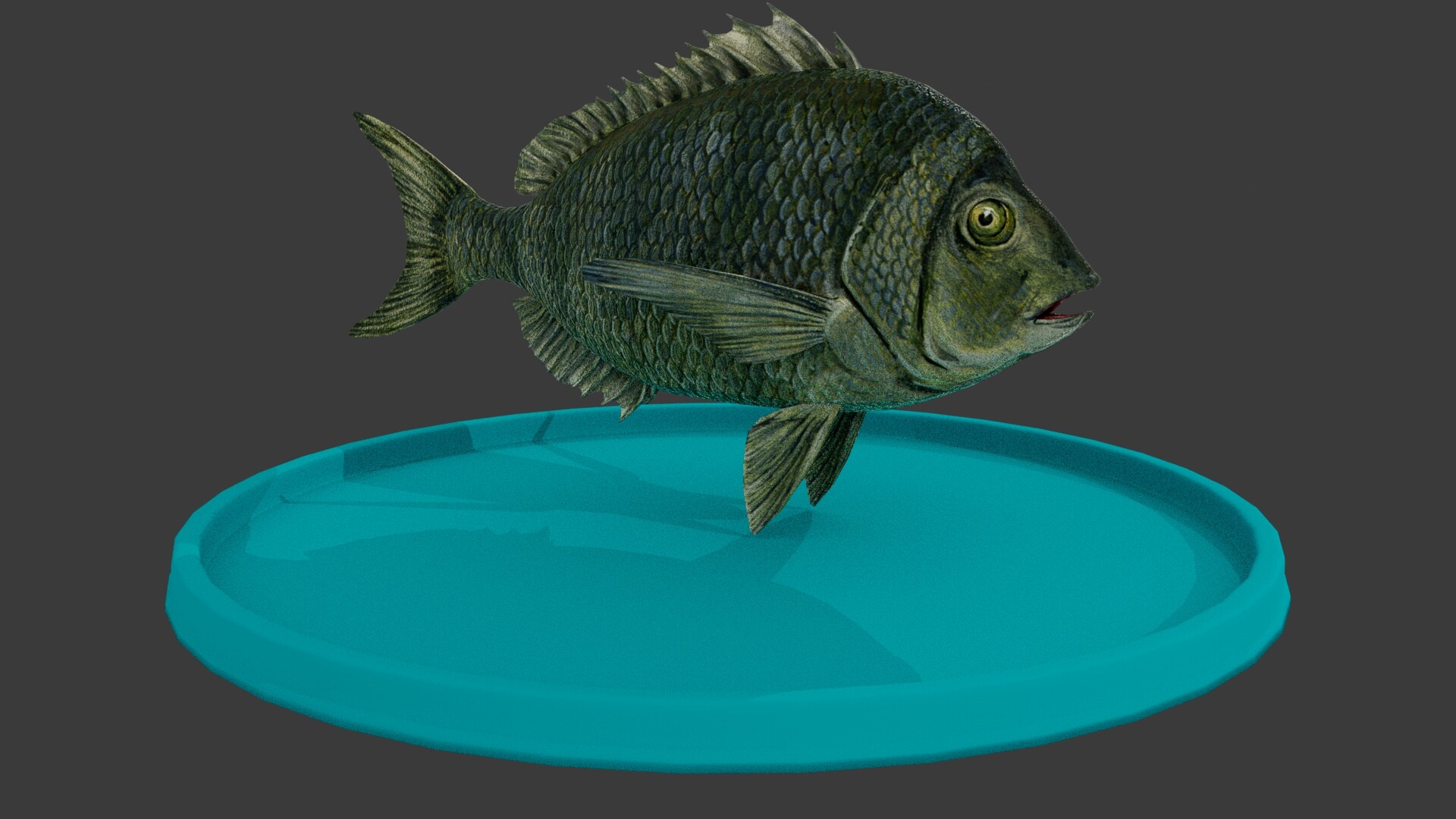 ArtStation - Fish Beauty