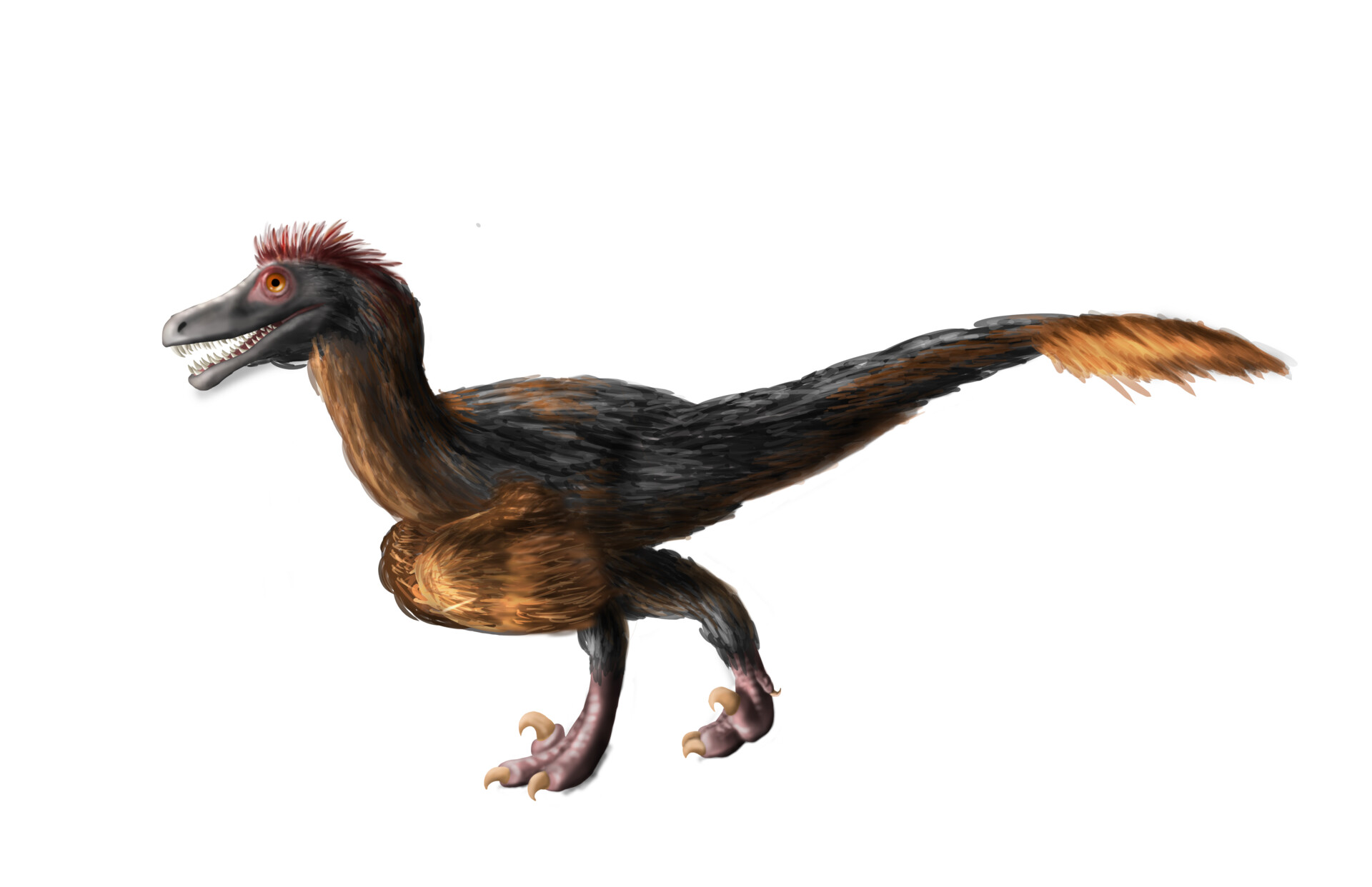 ArtStation - Velociraptor