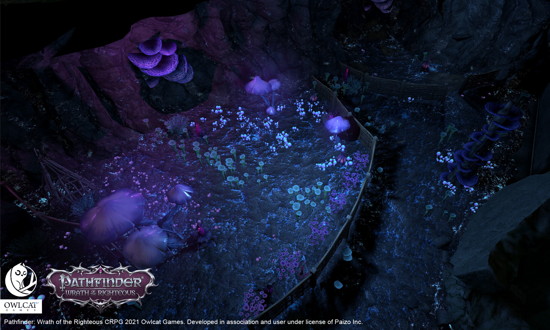 ArtStation - Pathfinder. Cave with mushrooms.