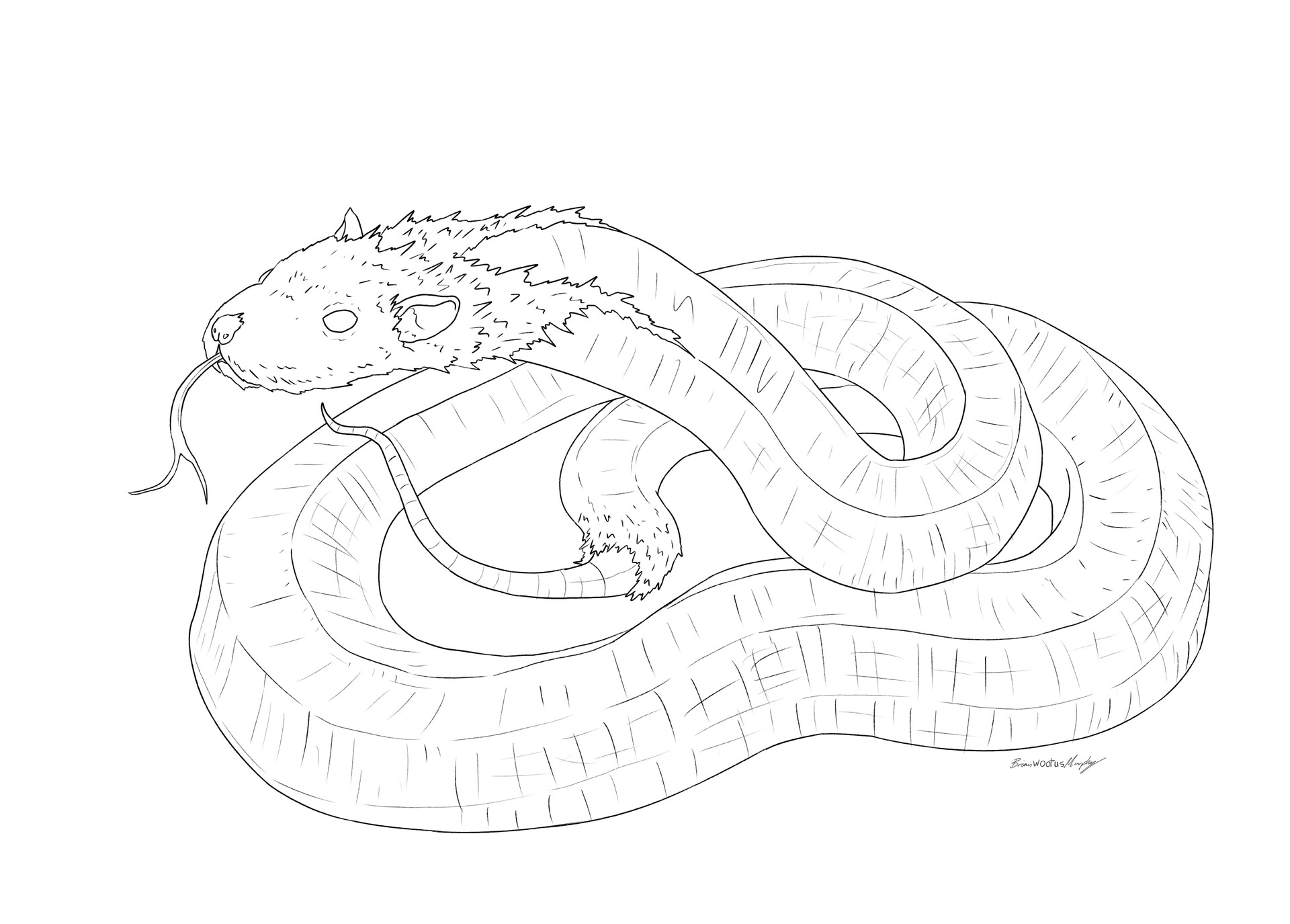 how to draw a rat snake