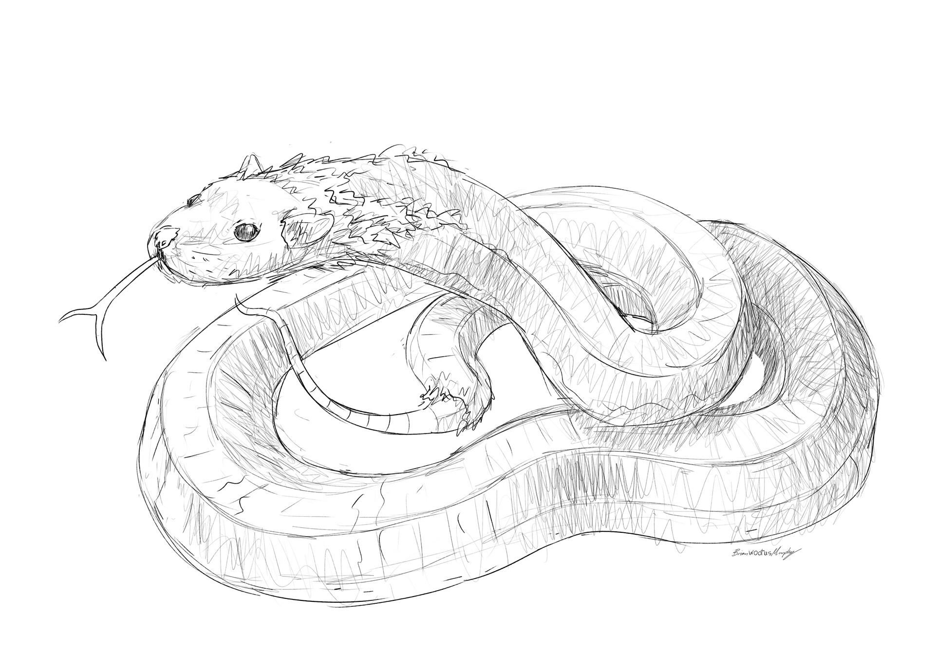 how to draw a black rat snake