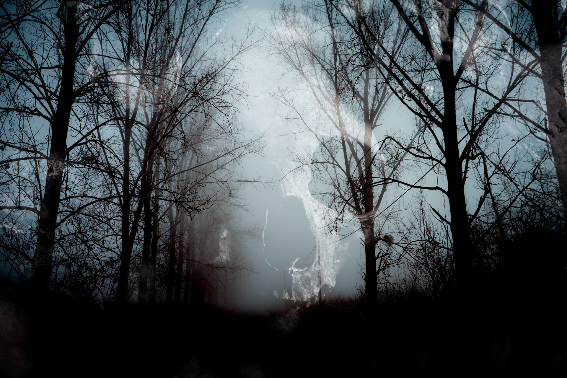 ArtStation - BOSQUE MISTERIOSO