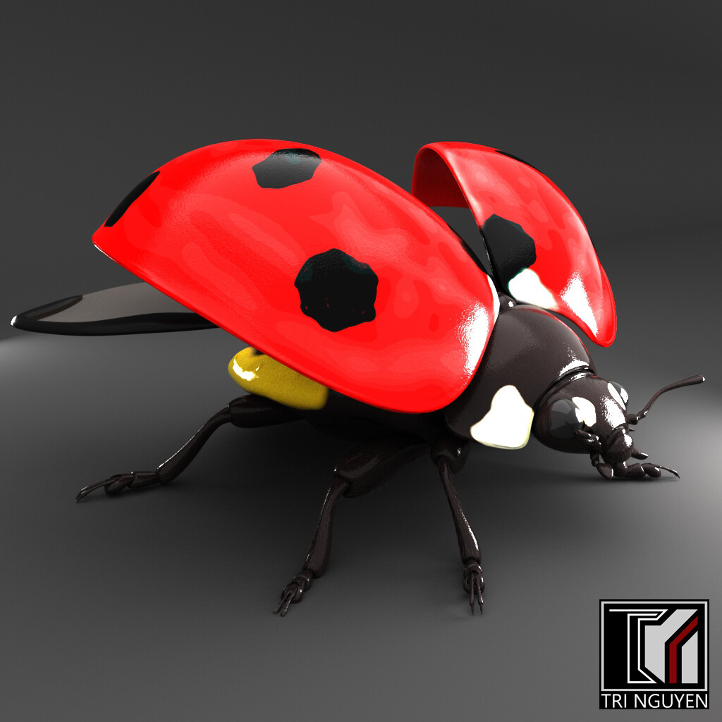 ArtStation - Lady Bird