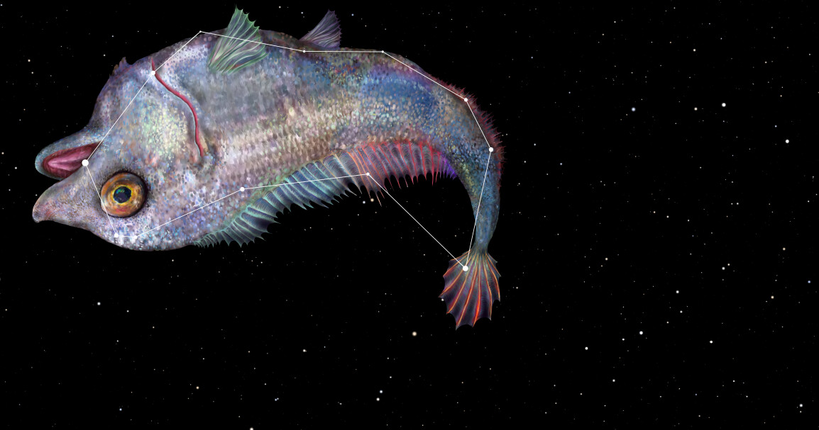 Alexandra - Ptolemaic Constellations