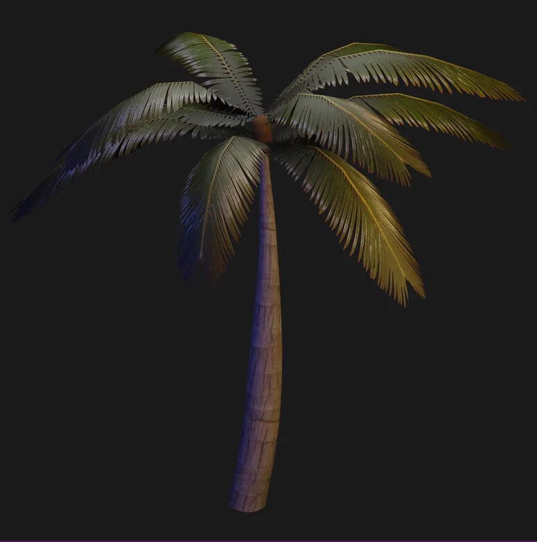 ArtStation - Coconut Tree - Game Asset