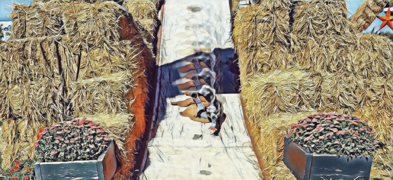 ArtStation - Anthony Simino