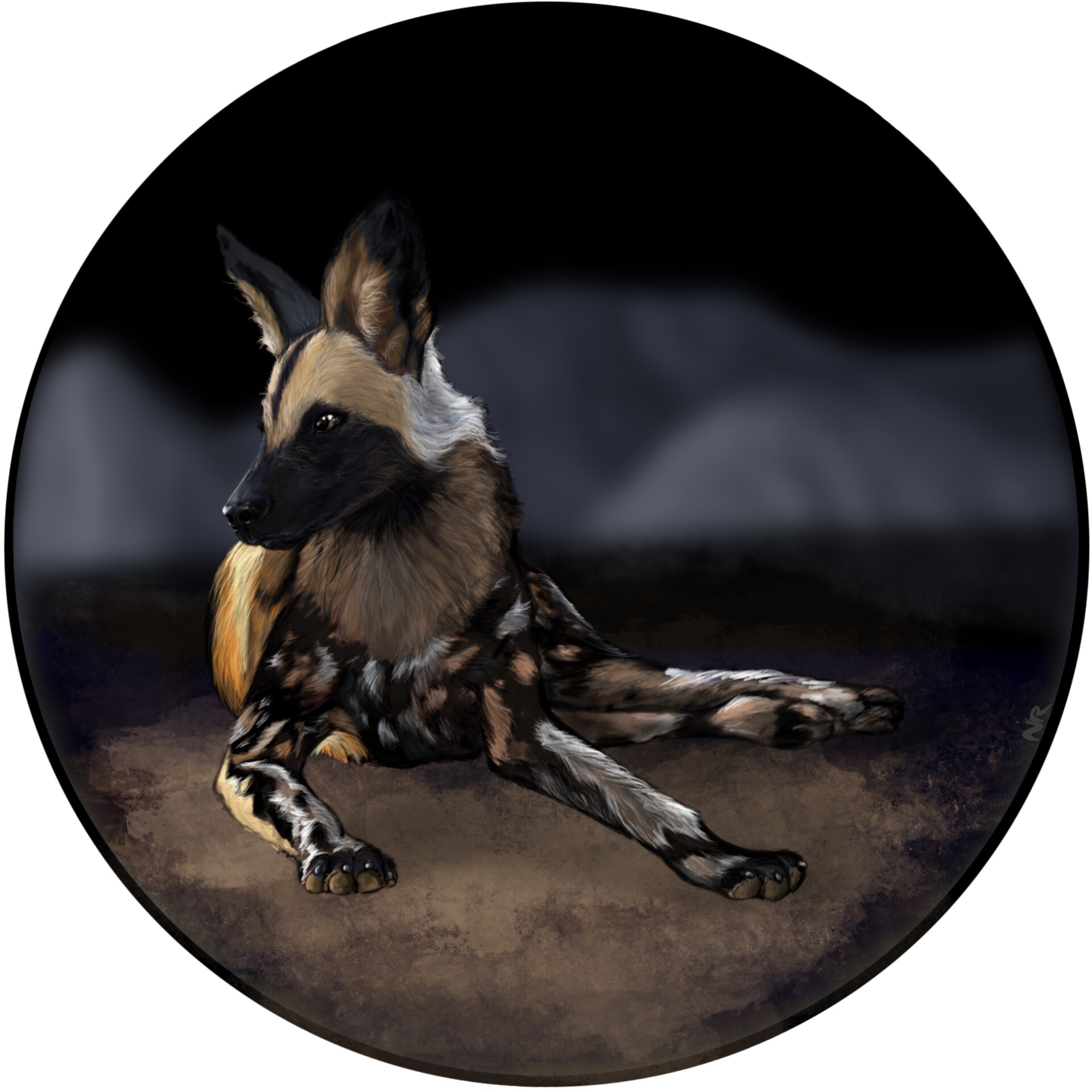 ArtStation - African Painted Dog