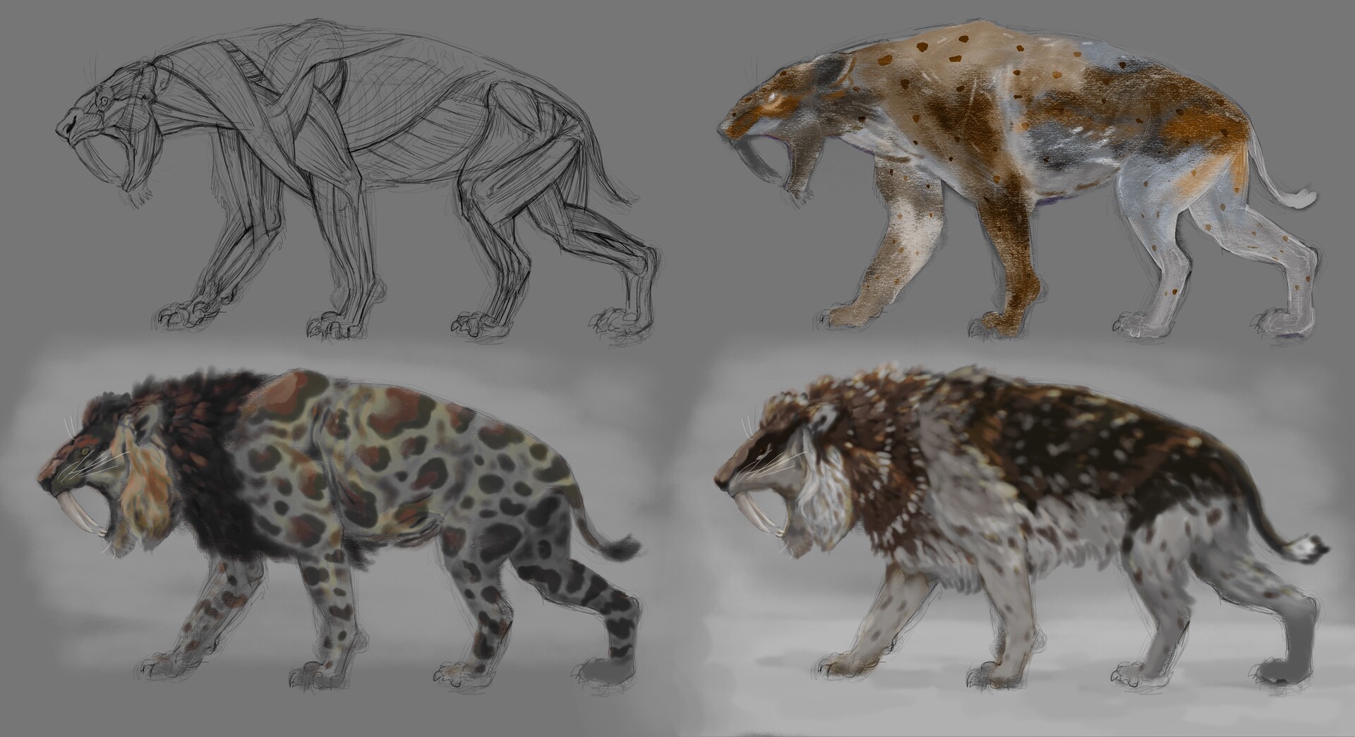ArtStation - Smilodon concepts