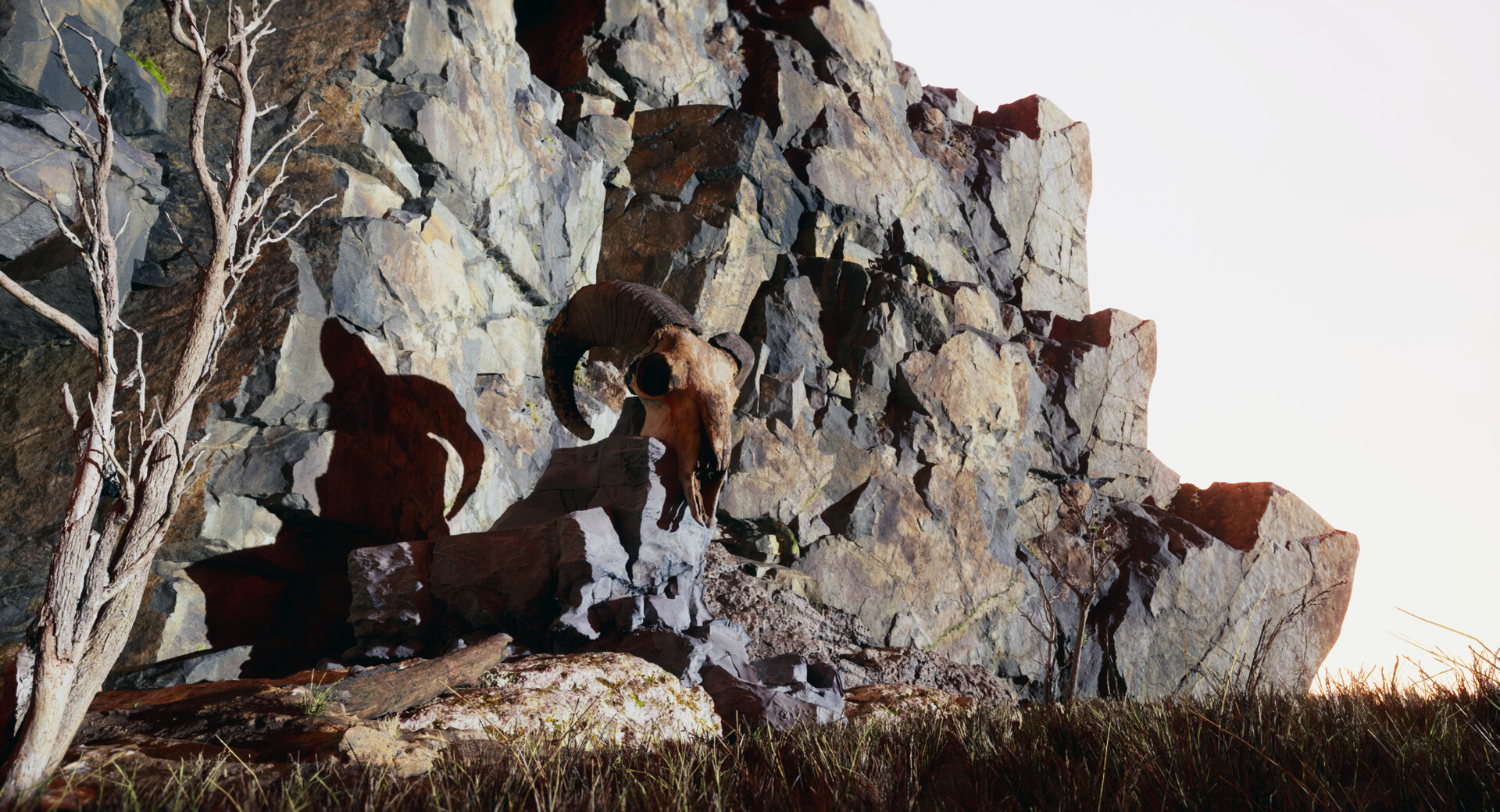 ArtStation - Very large skull