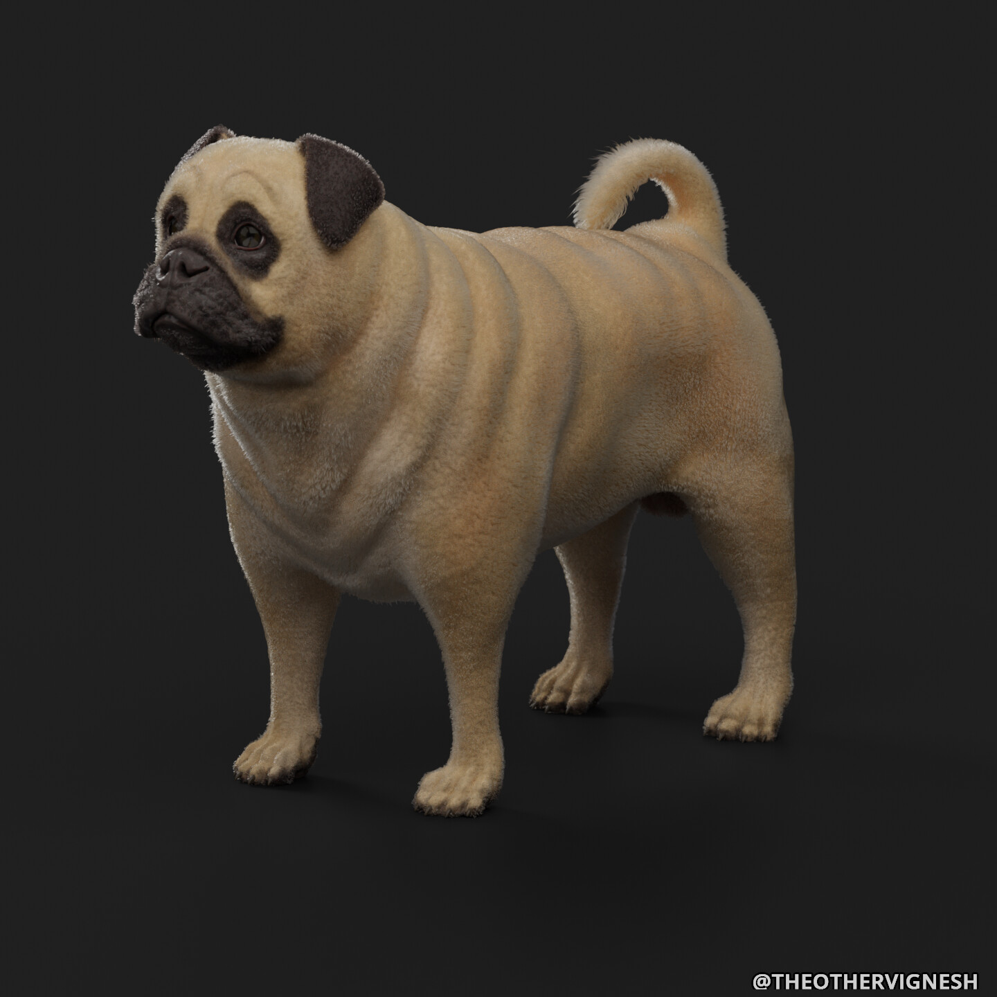ArtStation - PUG DOG