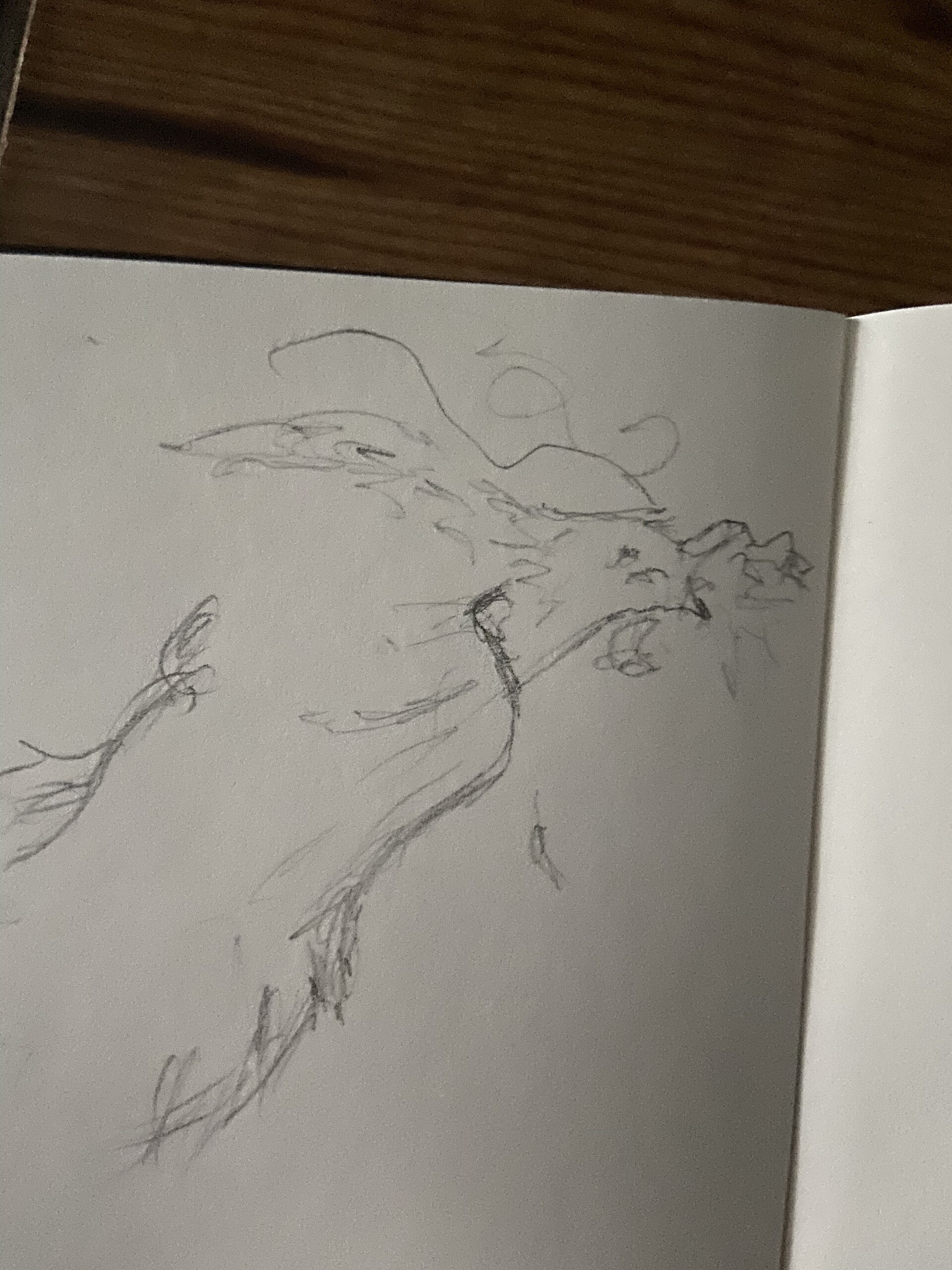 ArtStation - Firebird sketch