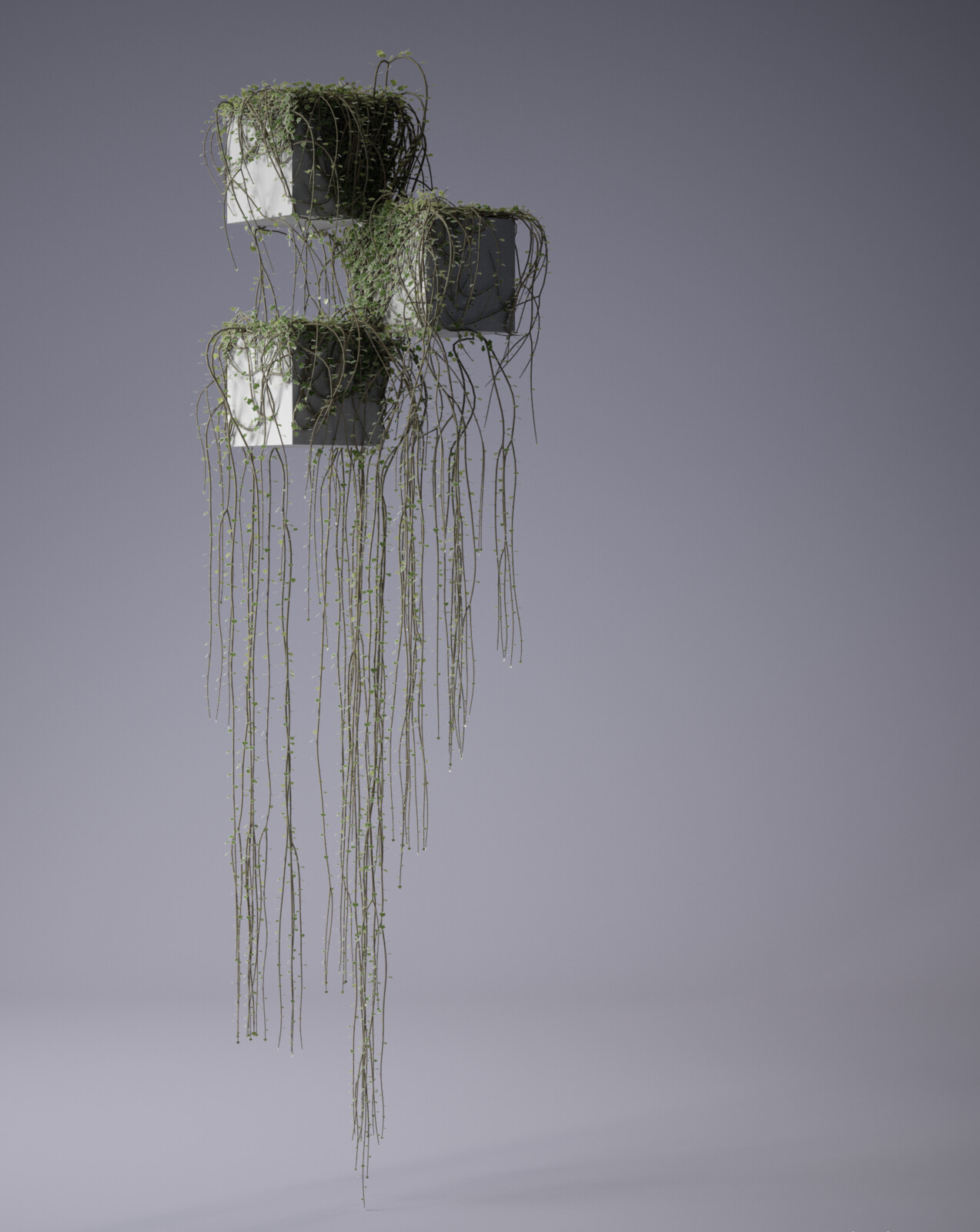 n.a.m - Procedural Ivy Generator | Houdini