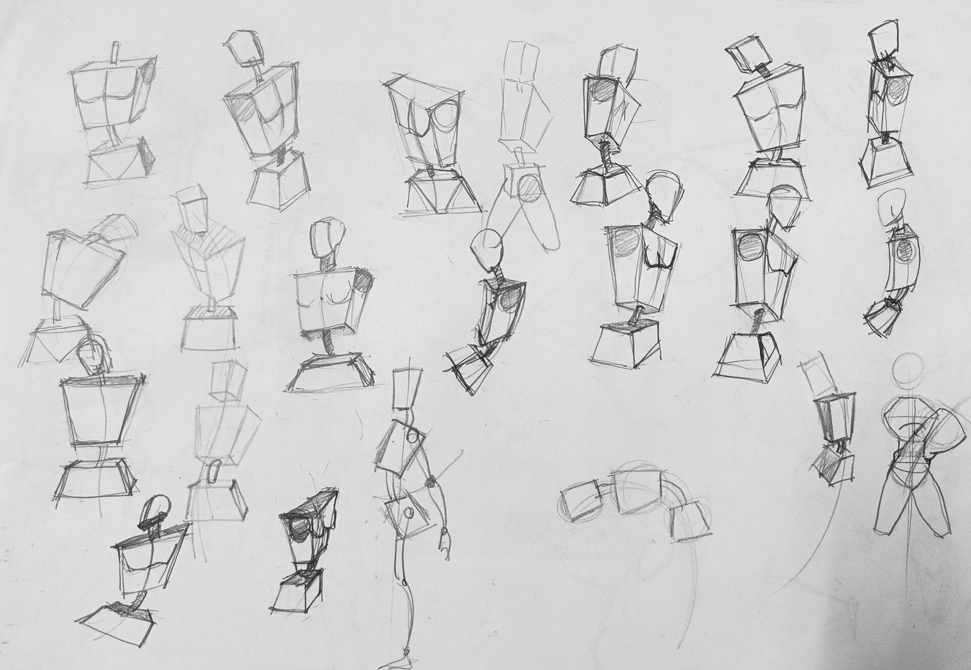 ArtStation - Anatomy Study