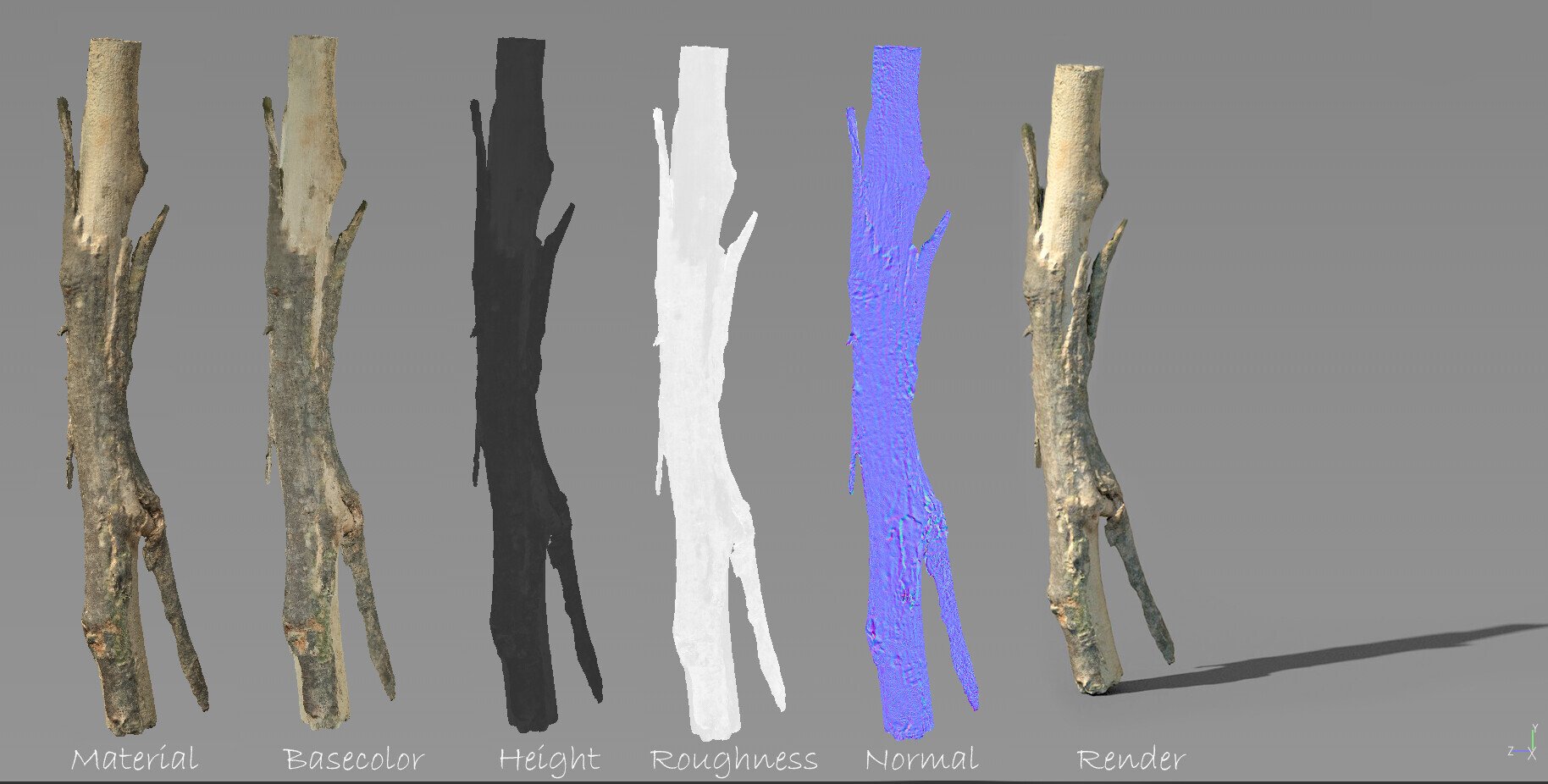 ArtStation - Bark Wood