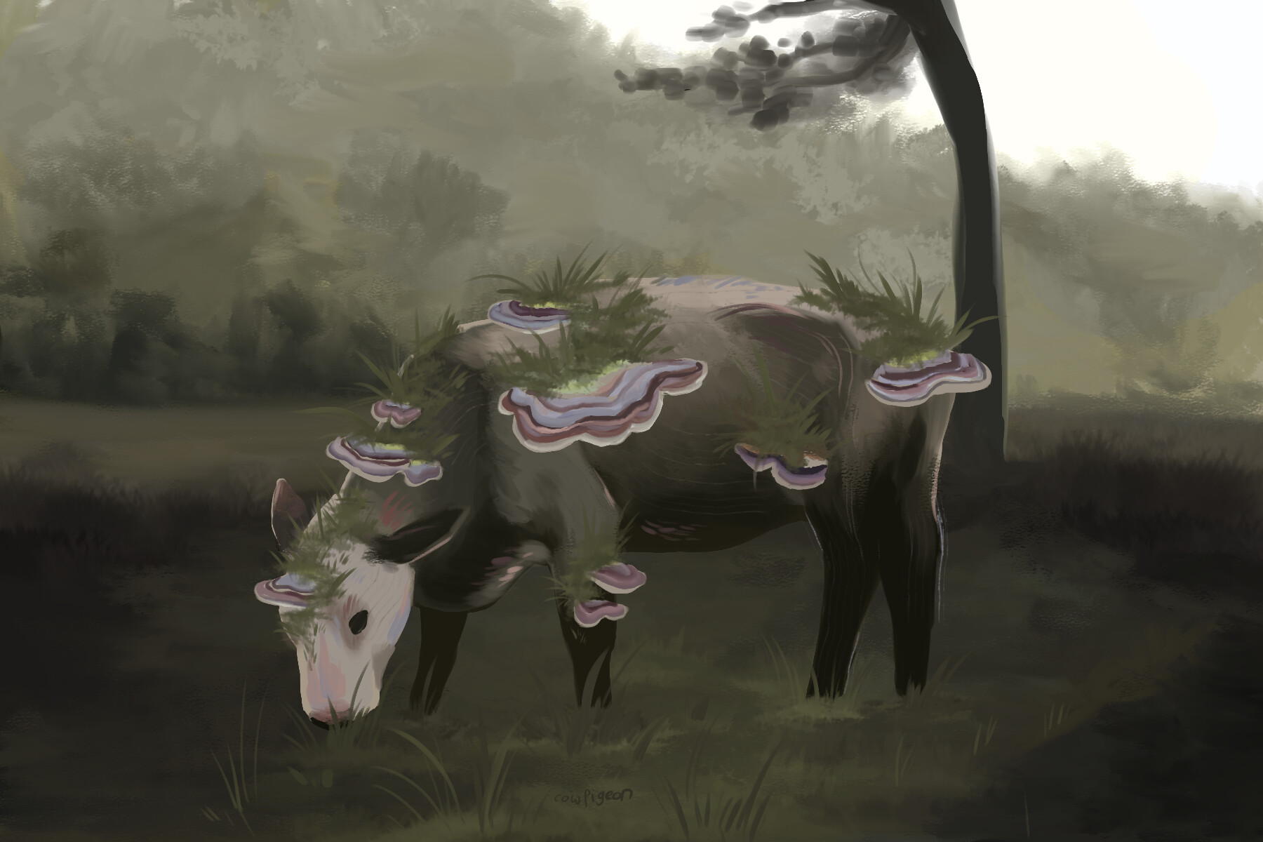 ArtStation - turkey tail