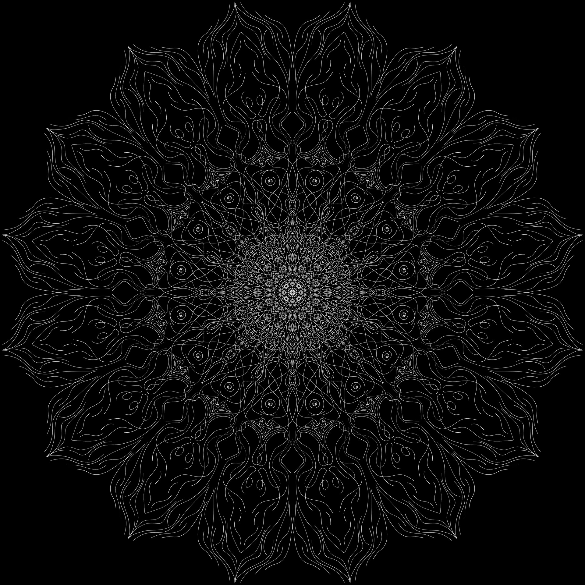 ArtStation - a intricate flower