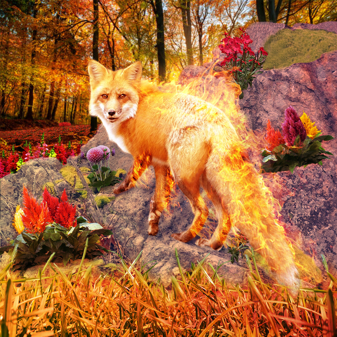 ArtStation - Flare Fox