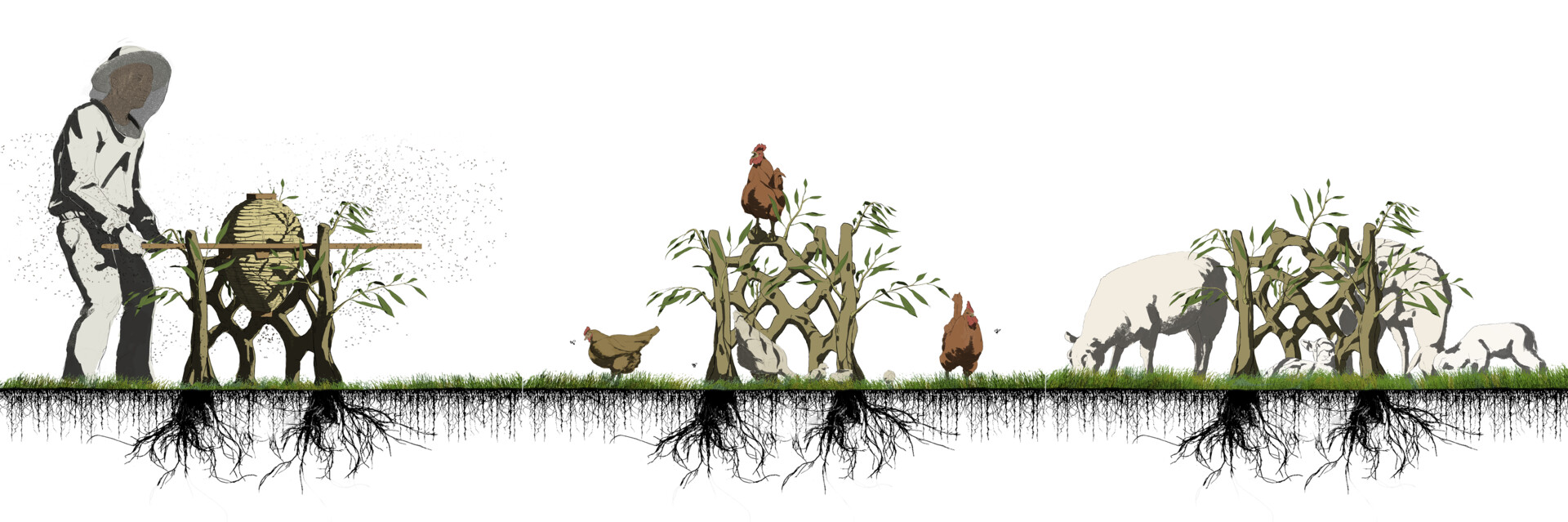 Bonde - New Home farm