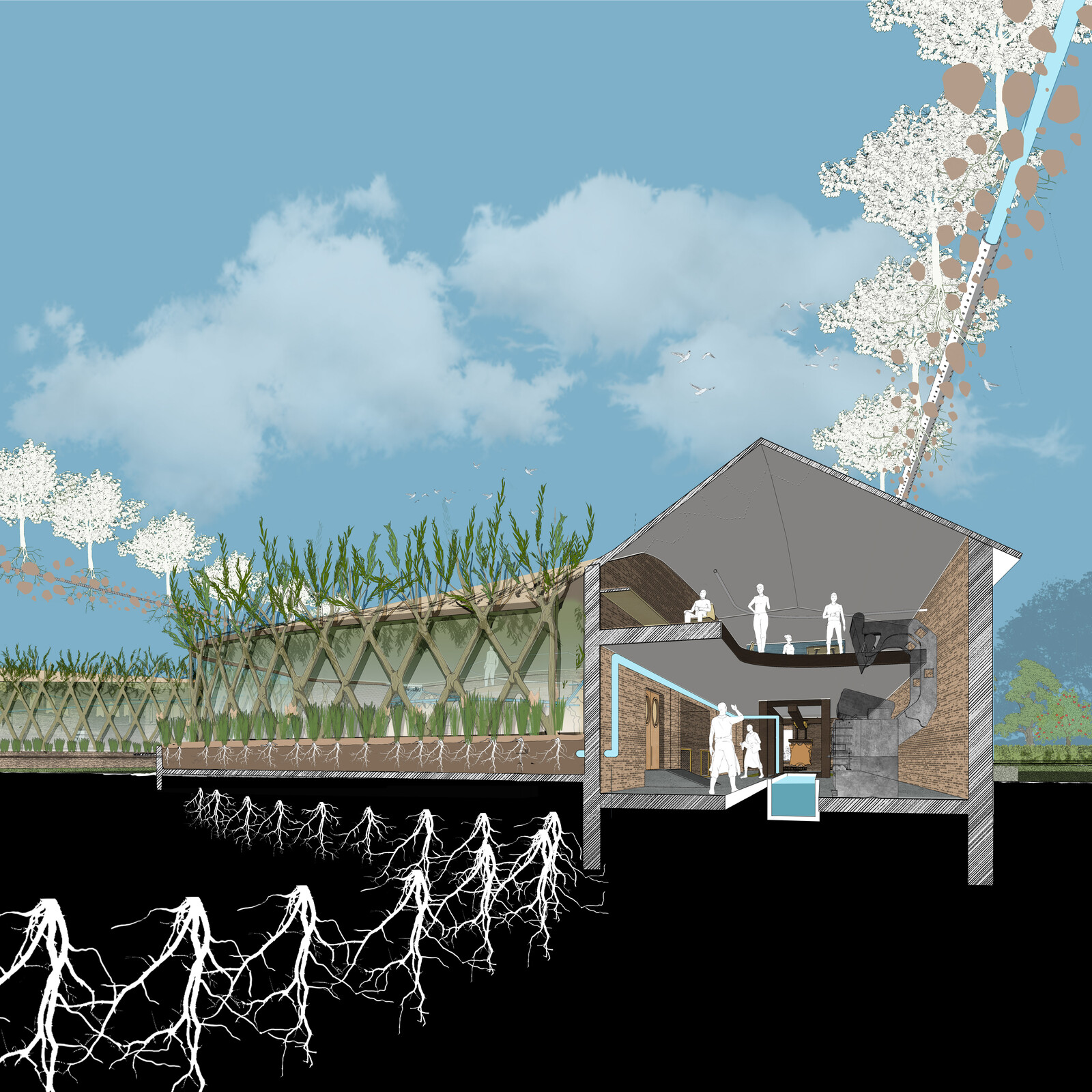 Bonde - New Home farm